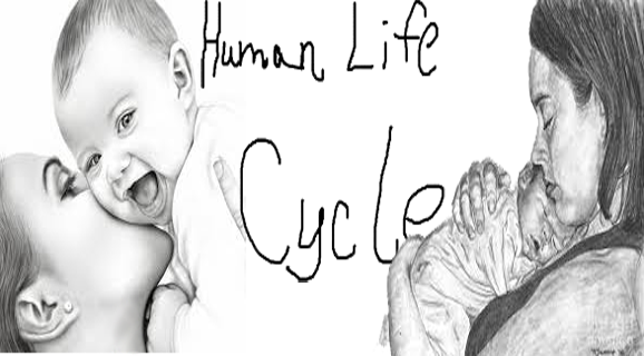 Birth And Death Registration